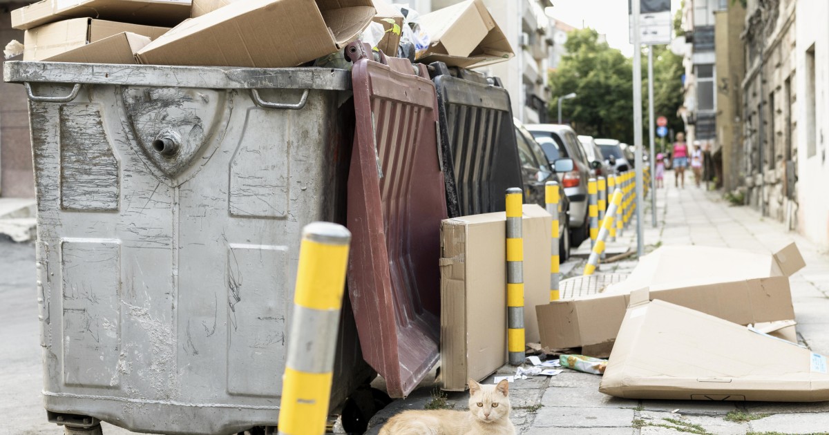 Harare Waste Management Challenges: Government Intervention for ...