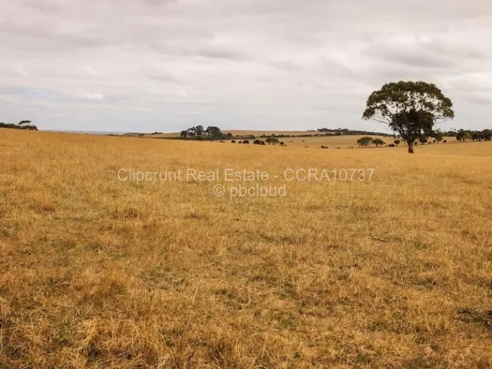 Farm for Sale in Beatrice, Beatrice - Propertybook