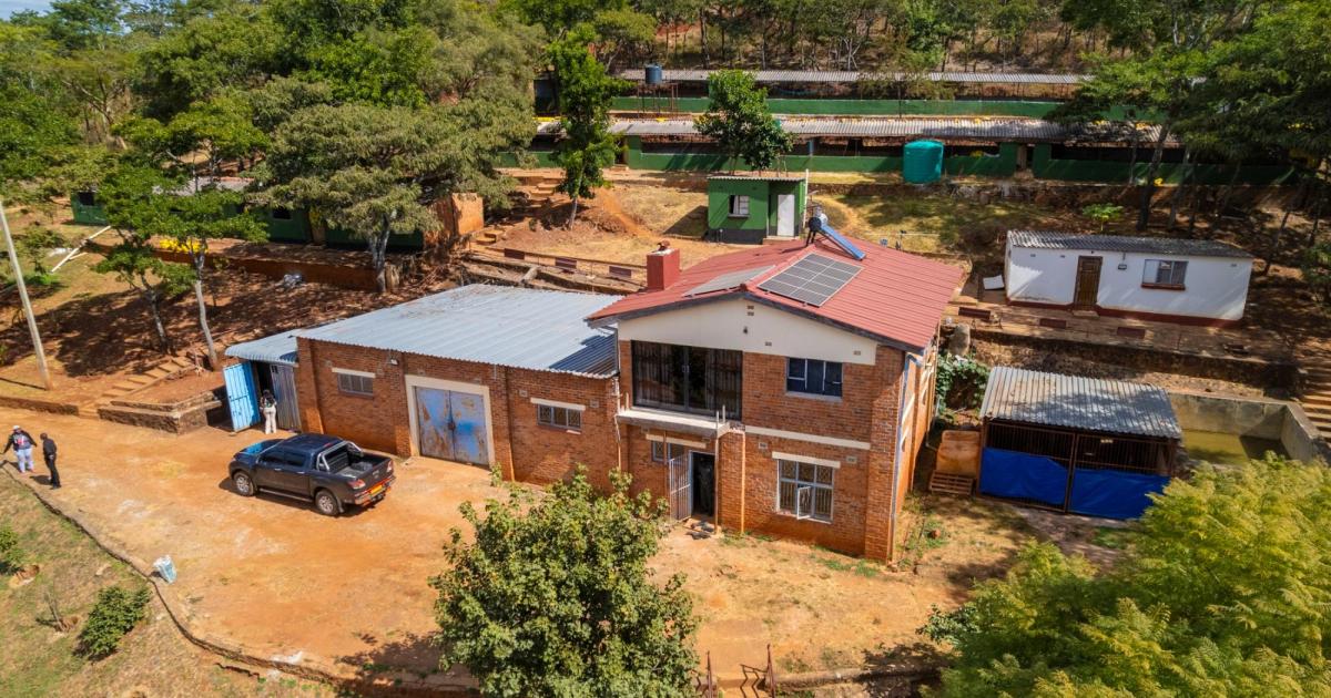 Farm/Plot for Sale in Cromlet, Arcturus - Propertybook