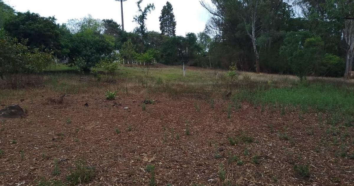 4 Bedroom House for Sale in Chisipite, Harare - Propertybook