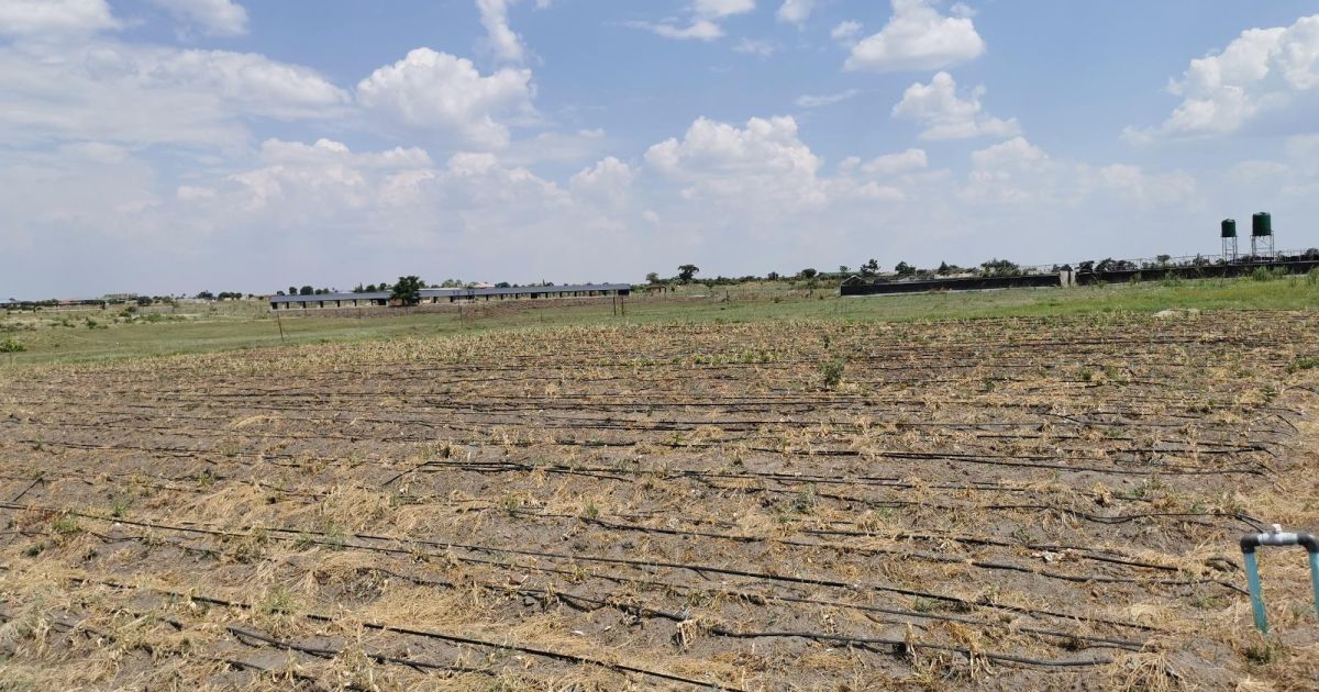 Farm/Plot for Sale in Rainham, Harare - Propertybook