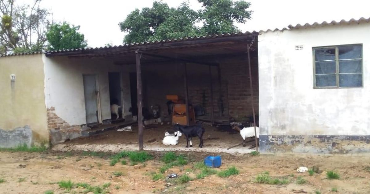 Farm/Plot for Sale in Mvuma, Mvuma - Propertybook