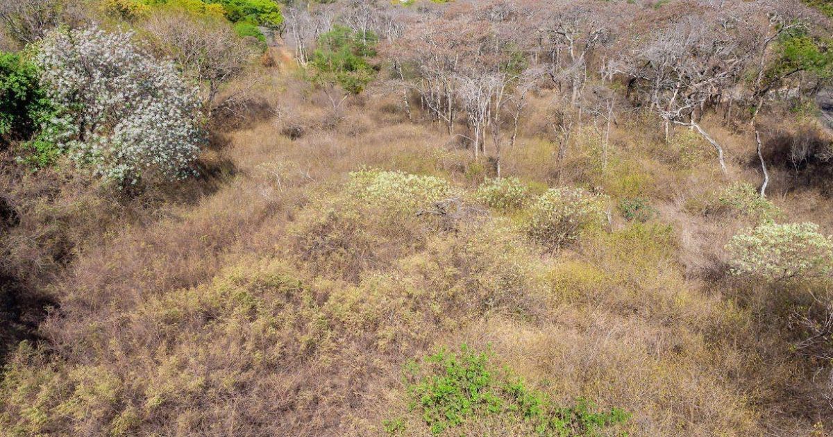 Commercial Stand for Sale in Umwinsidale, Harare - Propertybook