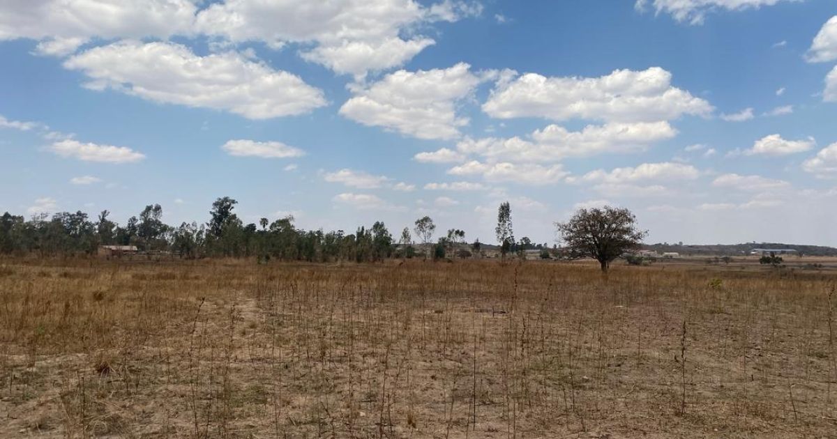 Land for Sale in Spitzkop | Stands.co.zw