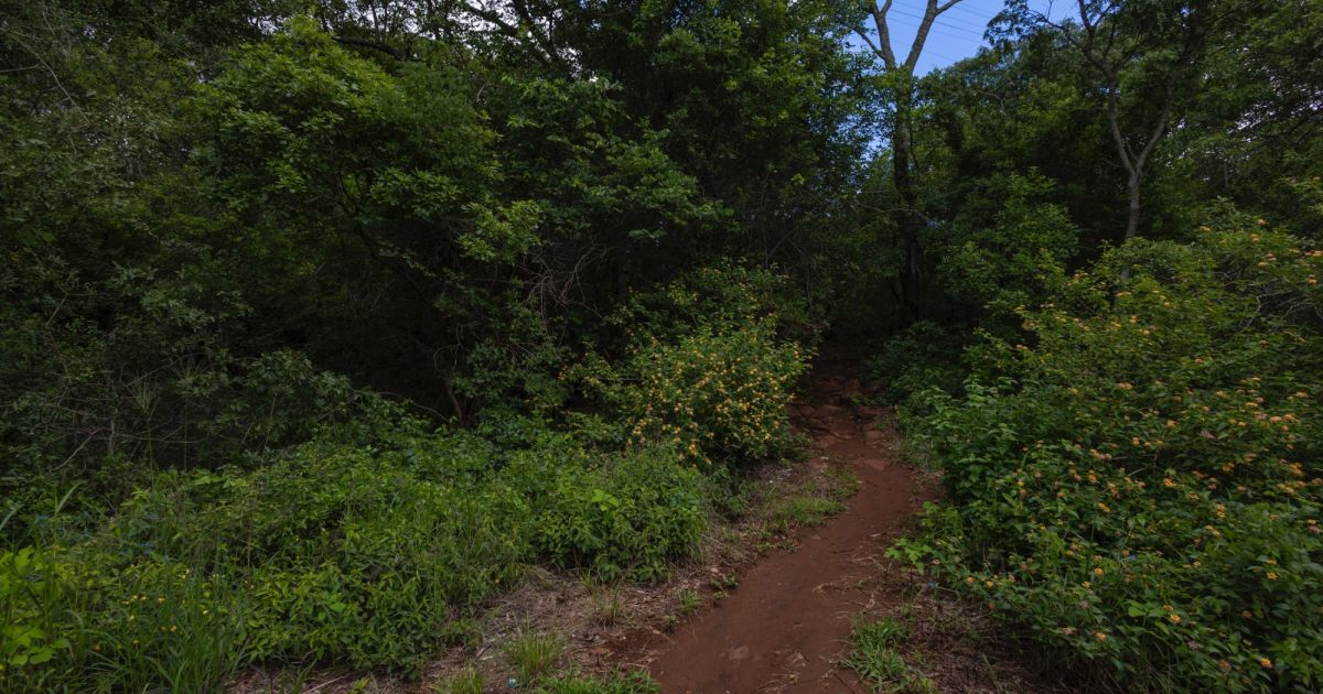 Residential Stand for Sale in Umwinsidale, Harare - Propertybook